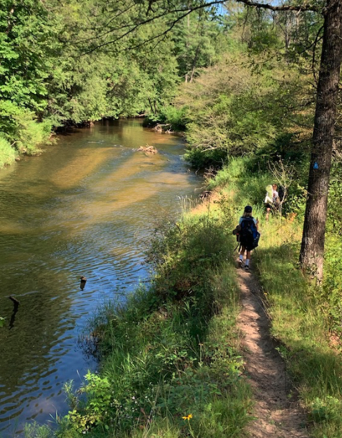 Rope Swing and a Crime Scene – Travel Light