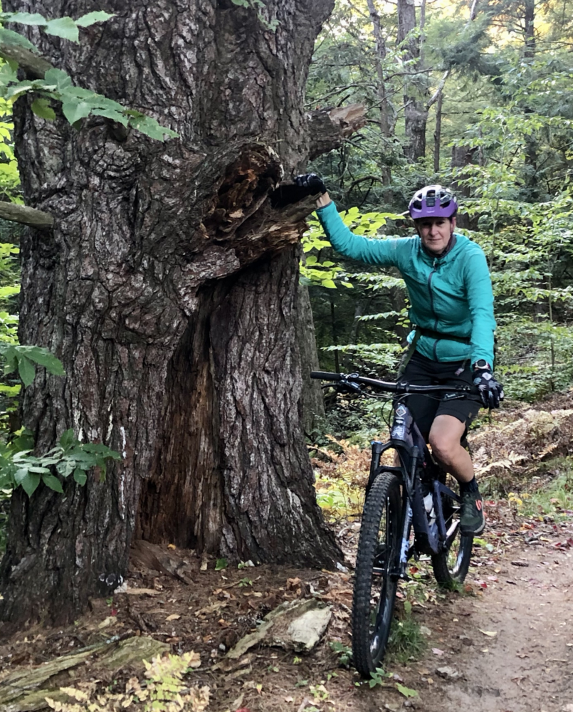 Mountain Bike the Mitten (New Trails Alert) – Travel Light
