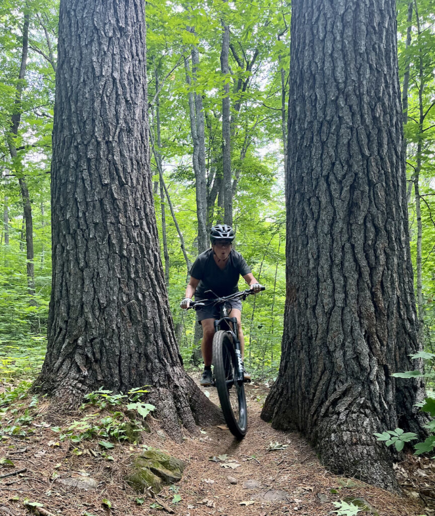 CAMBA, Mountain Bike Wisconsin's Northwoods - Laura R. Holmes
