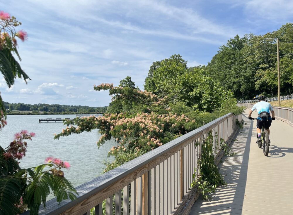 Mountain Bike Knox – Travel Light